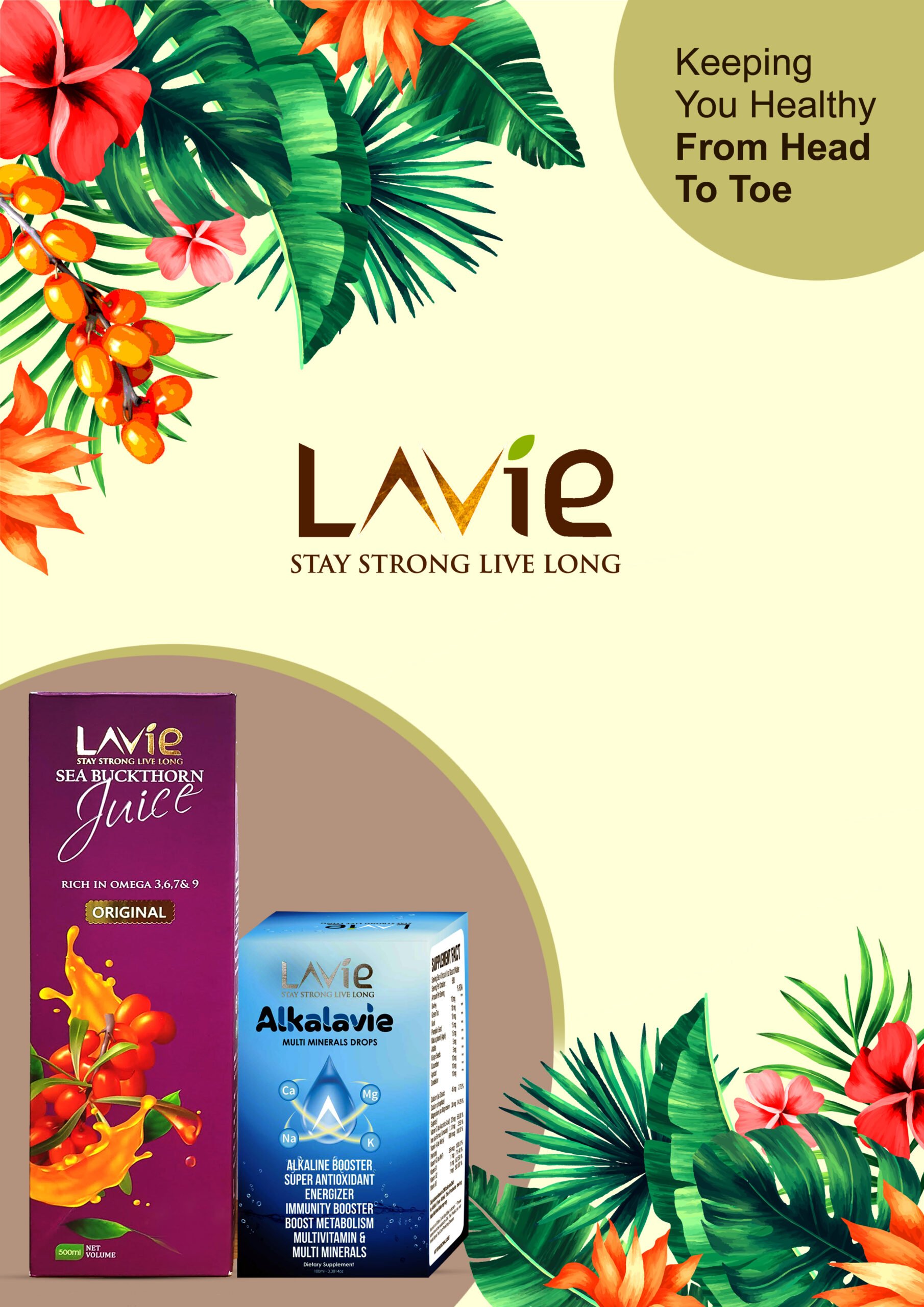 Portfolio - Absolute Design & Print